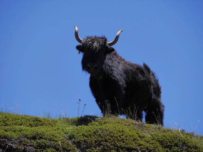 Meet Almitra Patel. The Garbologist who gave India Solid Waste ...