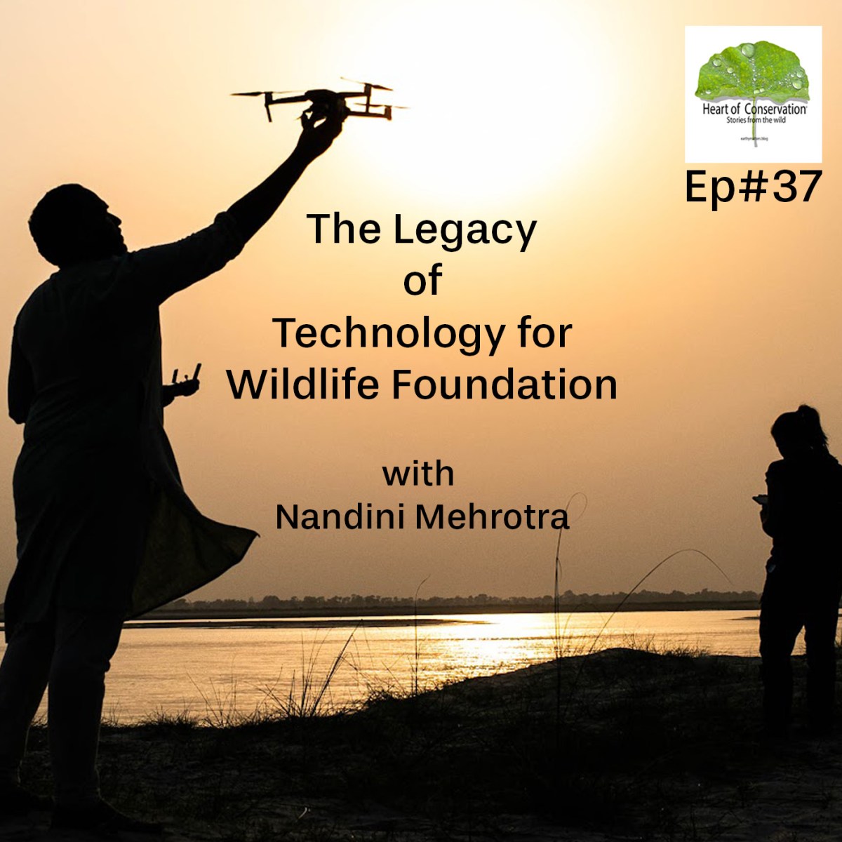 The Legacy of Technology for Wildlife Foundation with Nandini Mehrotra ...